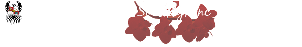 Kappa Phi Lambda Sisterhood Service Cultural Diversity 3982